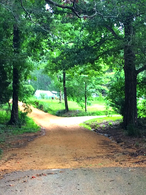 The Art of Unmindfulness – The Abject Muse