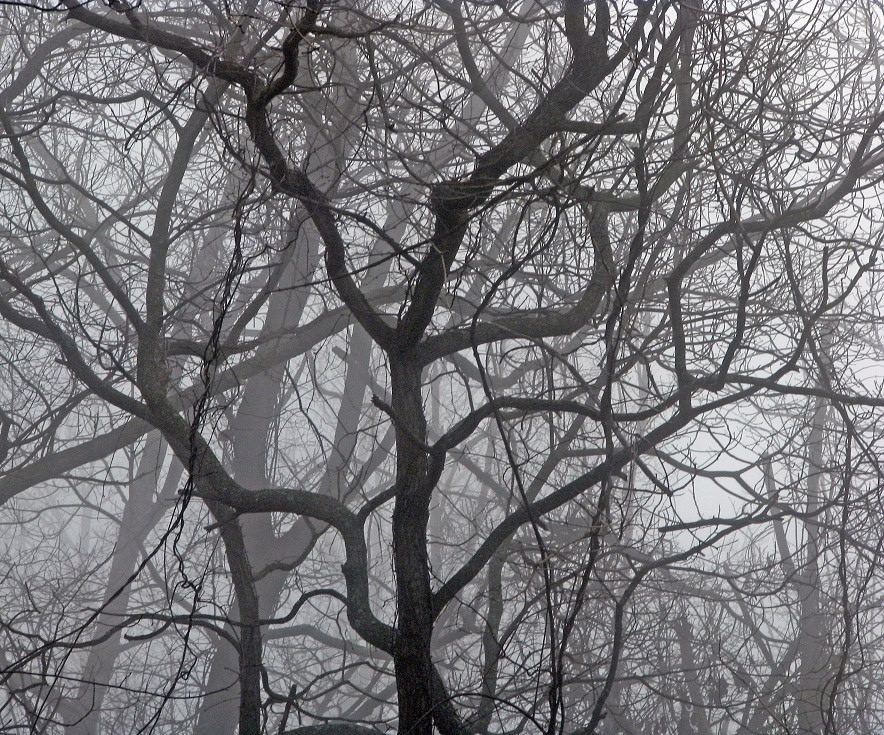 Cherita: Angst | The Abject Muse