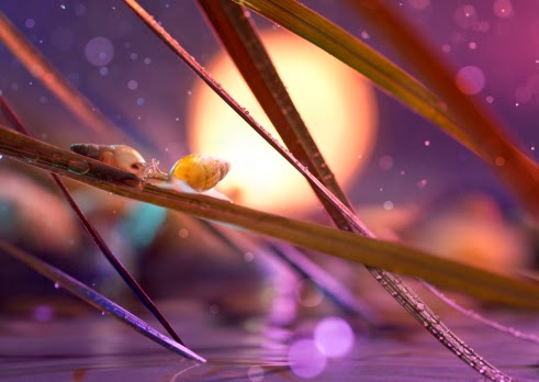 Lesson of the Snail | The Abject Muse